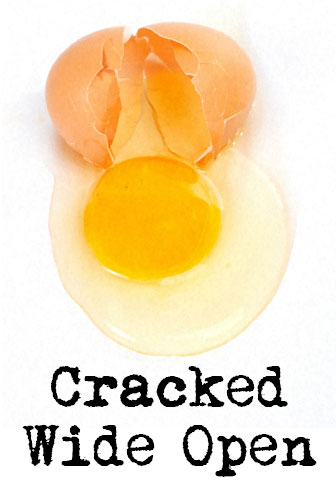 Cracked Wide Open